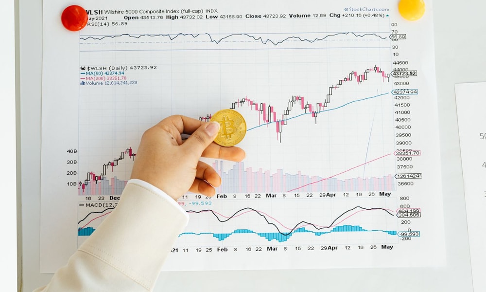 Contoh Rekap Penjualan Harian dan Cara Membuat