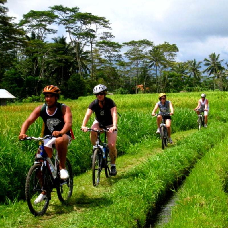 Bali Cycling