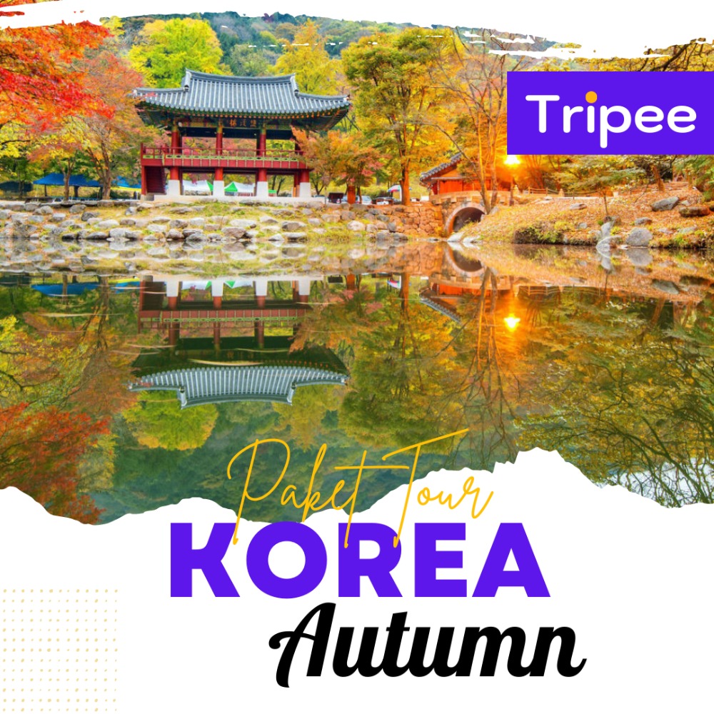 Paket Tour Korea Autumn