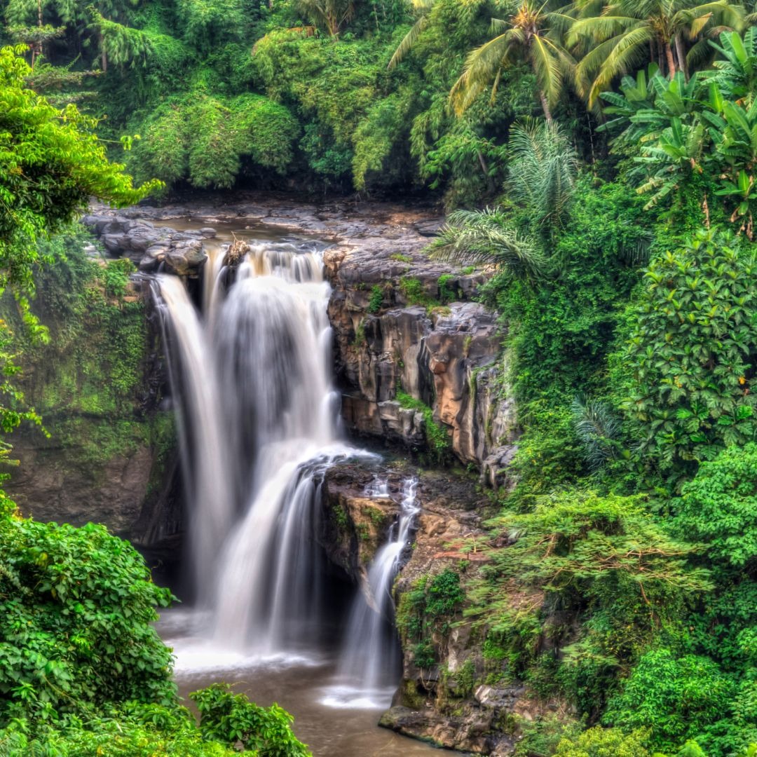 Waterfall Bali Full Day Tour