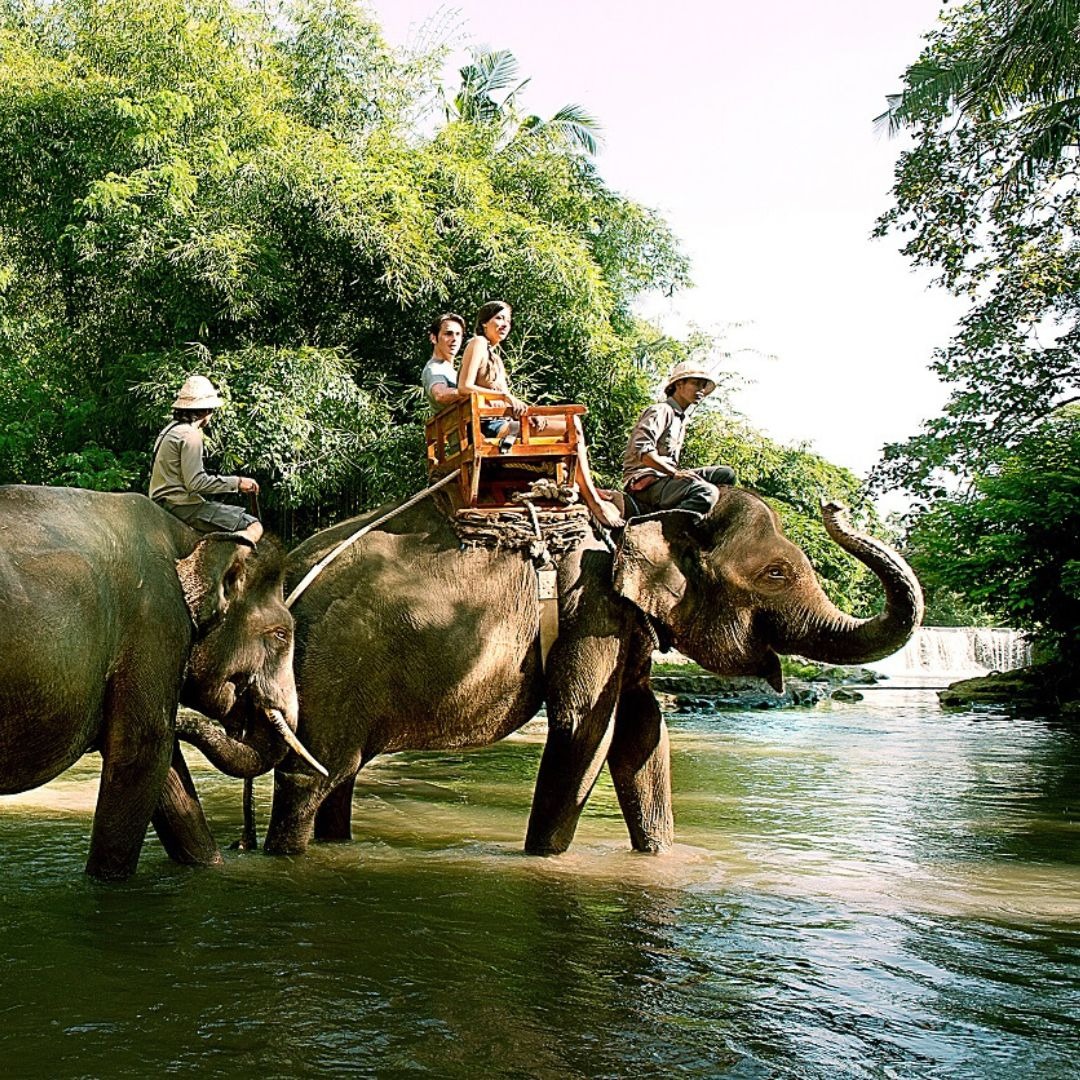 Elephant Ride & Swing Tour
