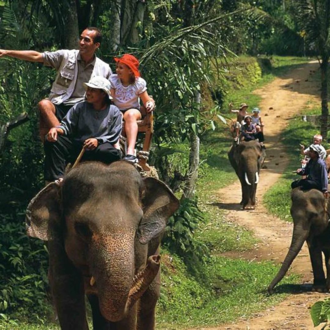 Elephant Ride & Uluwatu Tour