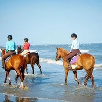 Water Sports & Horse Riding Tour