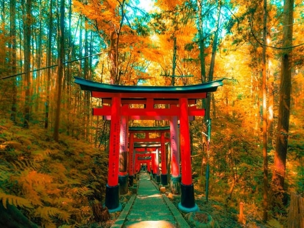 10 Kuil Paling Ikonik di Jepang yang Wajib Dikunjungi